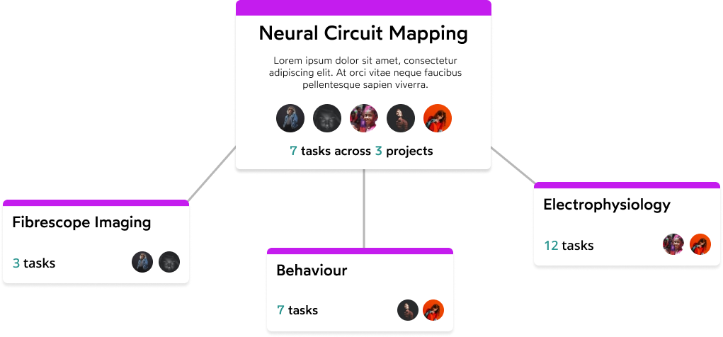 Goodwright - Software for Scientists